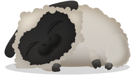 sheep